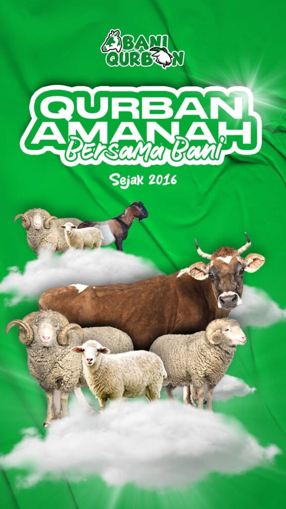 Bani Aqiqah - Qurban Kambing